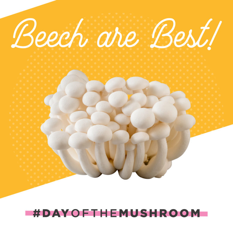 Happy National Day of the Mushroom!