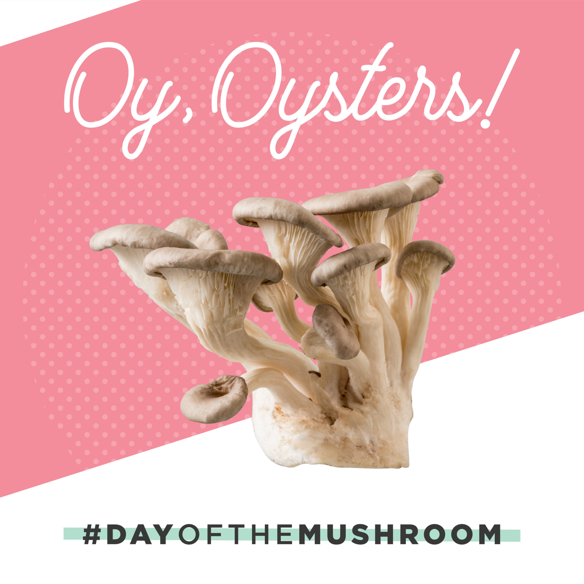 Happy National Day of the Mushroom!
