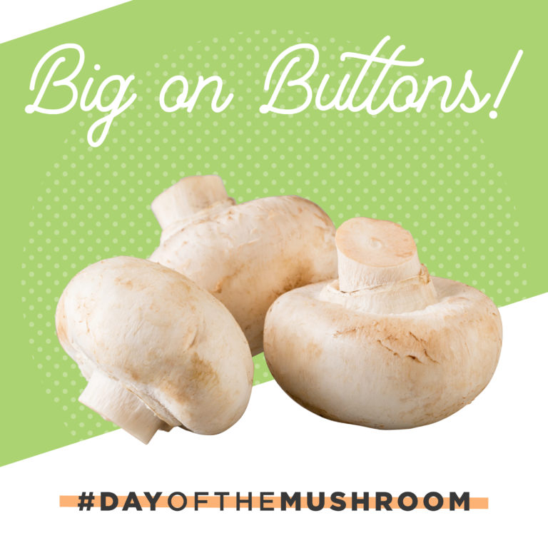 Happy National Day of the Mushroom!