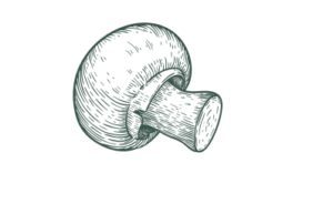 The Official Ingredient of Earth Month | Mushroom Council