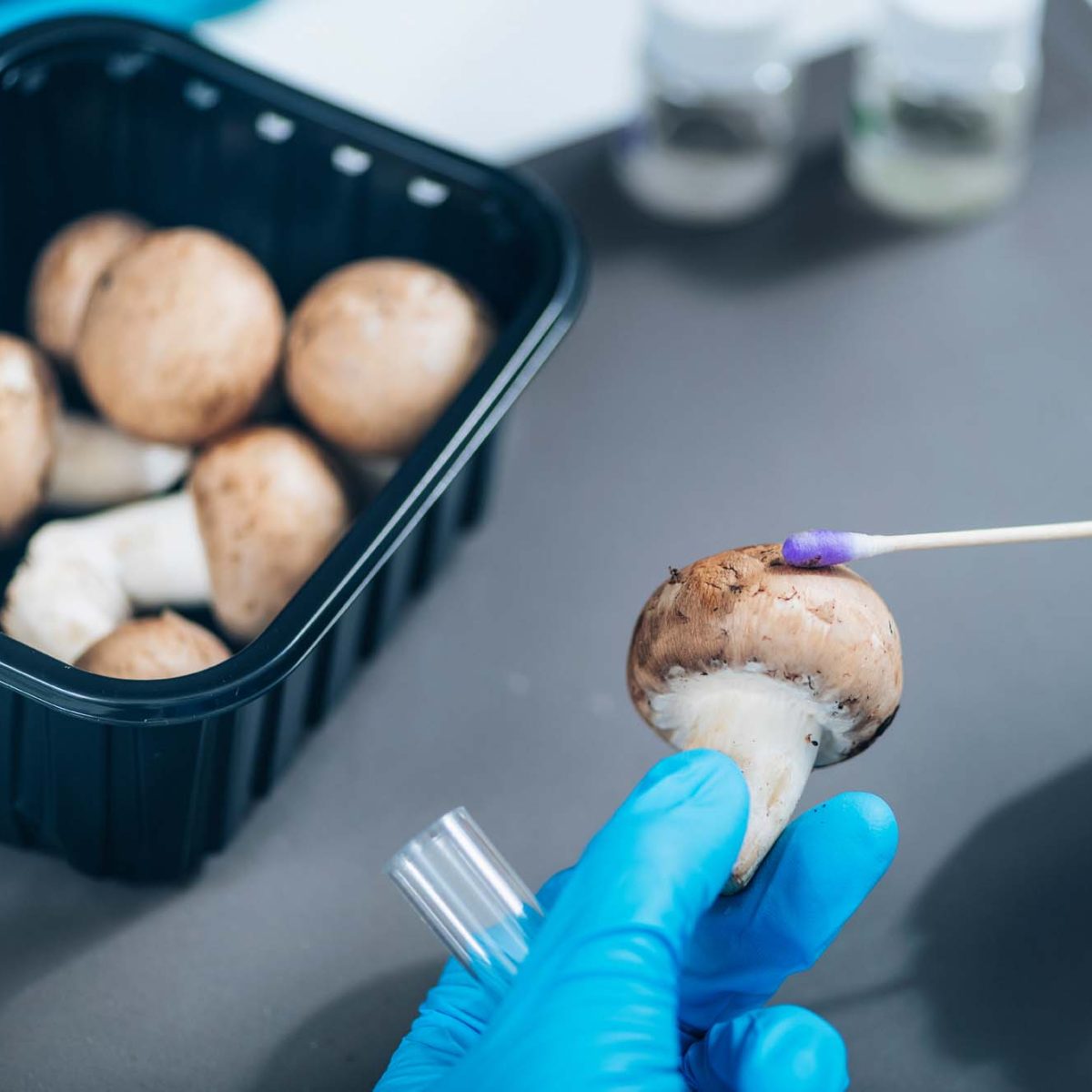 Mushroom Nutrition Research | Mushroom Nutrition