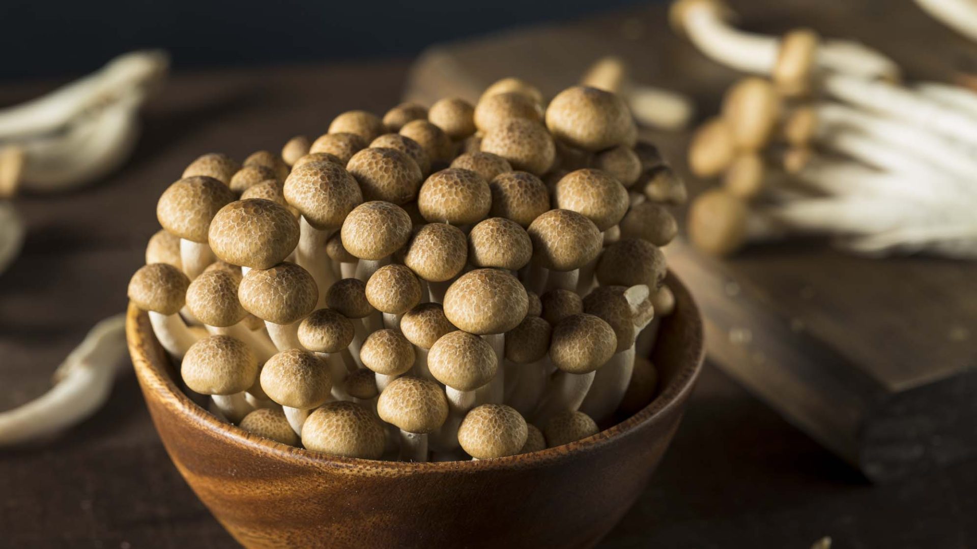 Beech Mushrooms | Mushroom Varieties 101