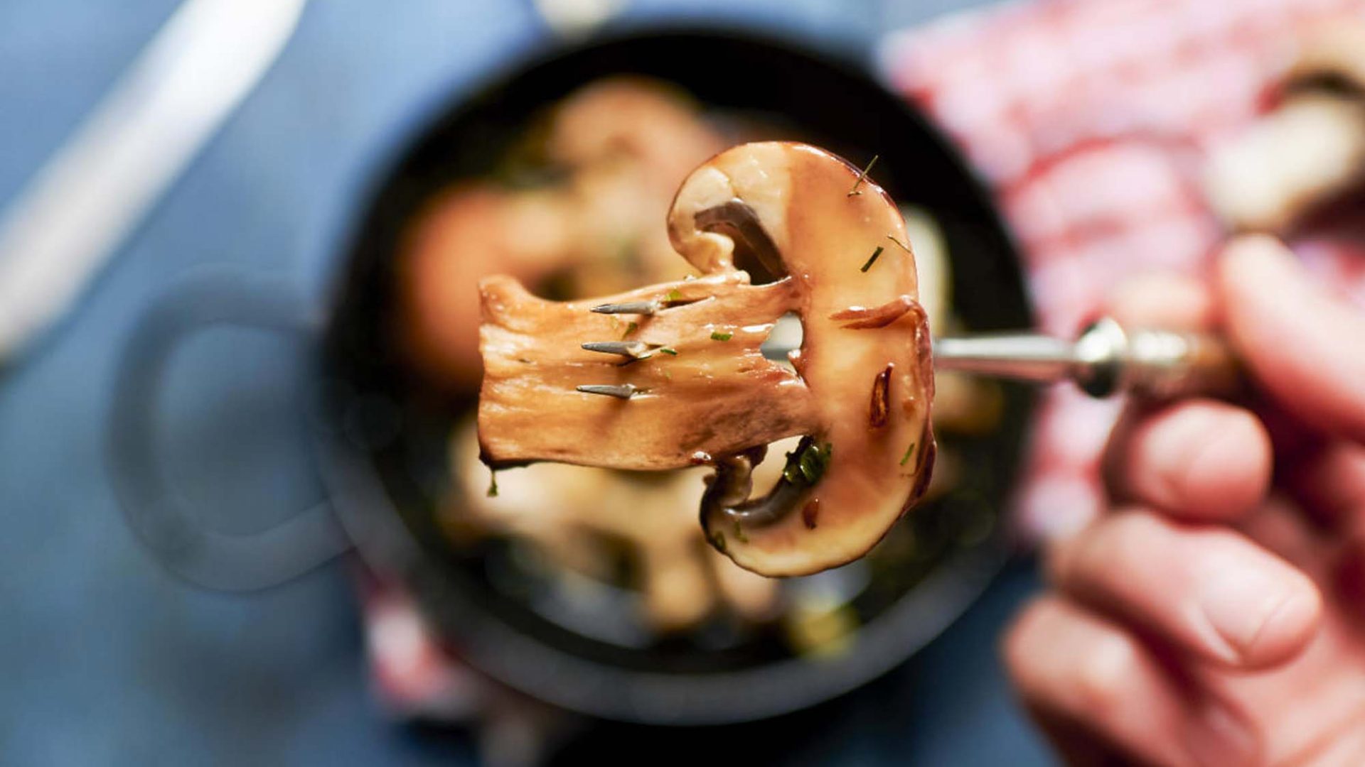 Mushroom Benefits & Nutrients | Mushroom Nutrition