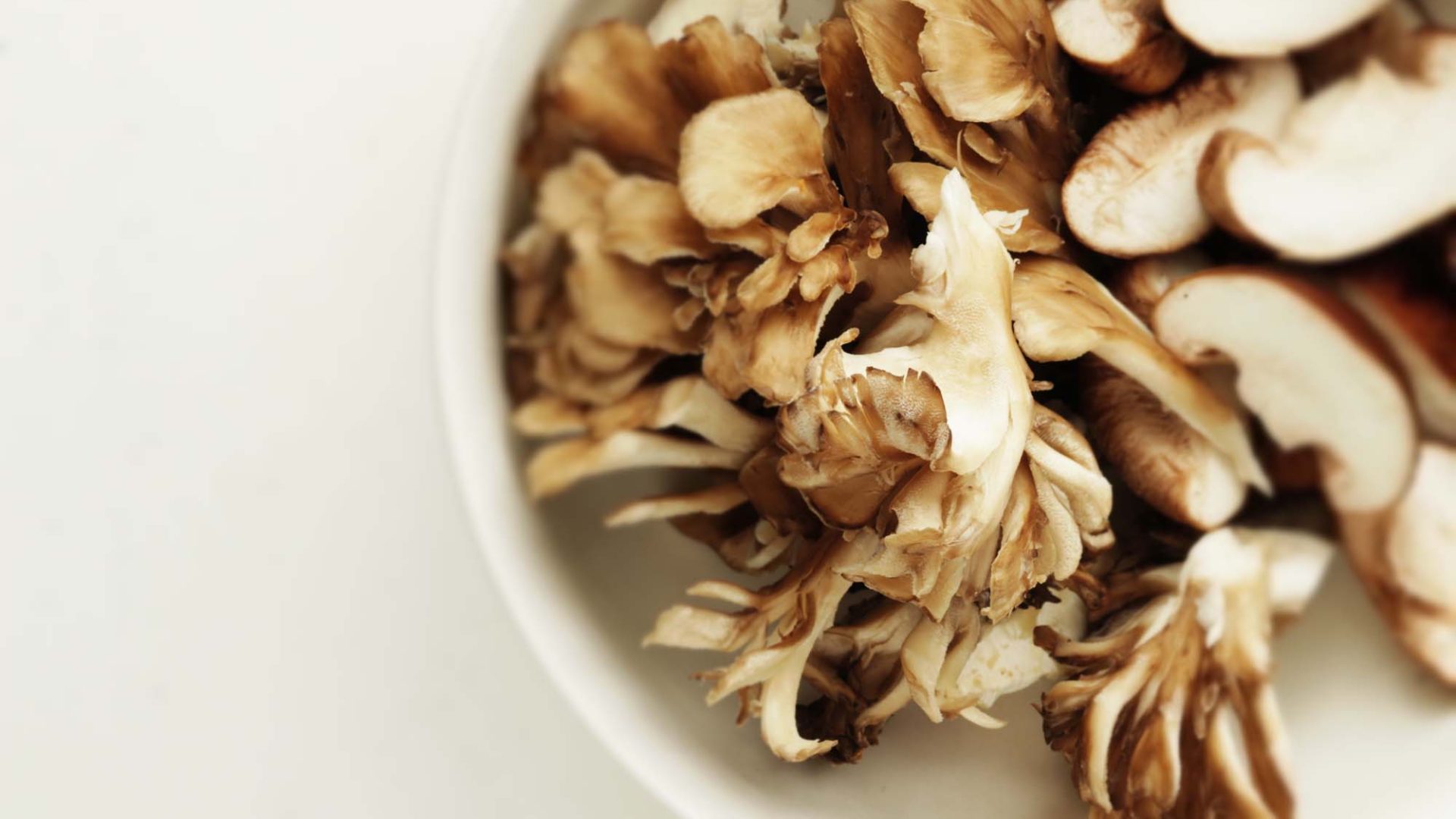 Maitake Mushrooms | Mushroom Varieties 101