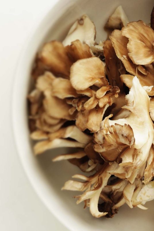 Learn Mushroom Basics | Mushrooms 101