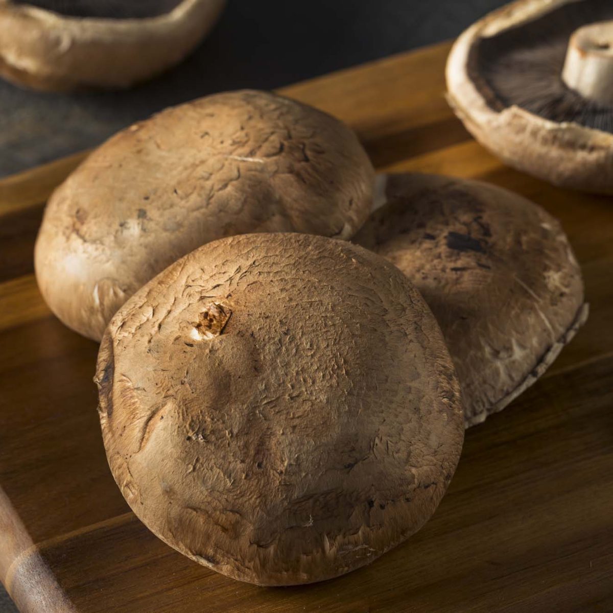Portabella Mushrooms | Mushroom Varieties 101