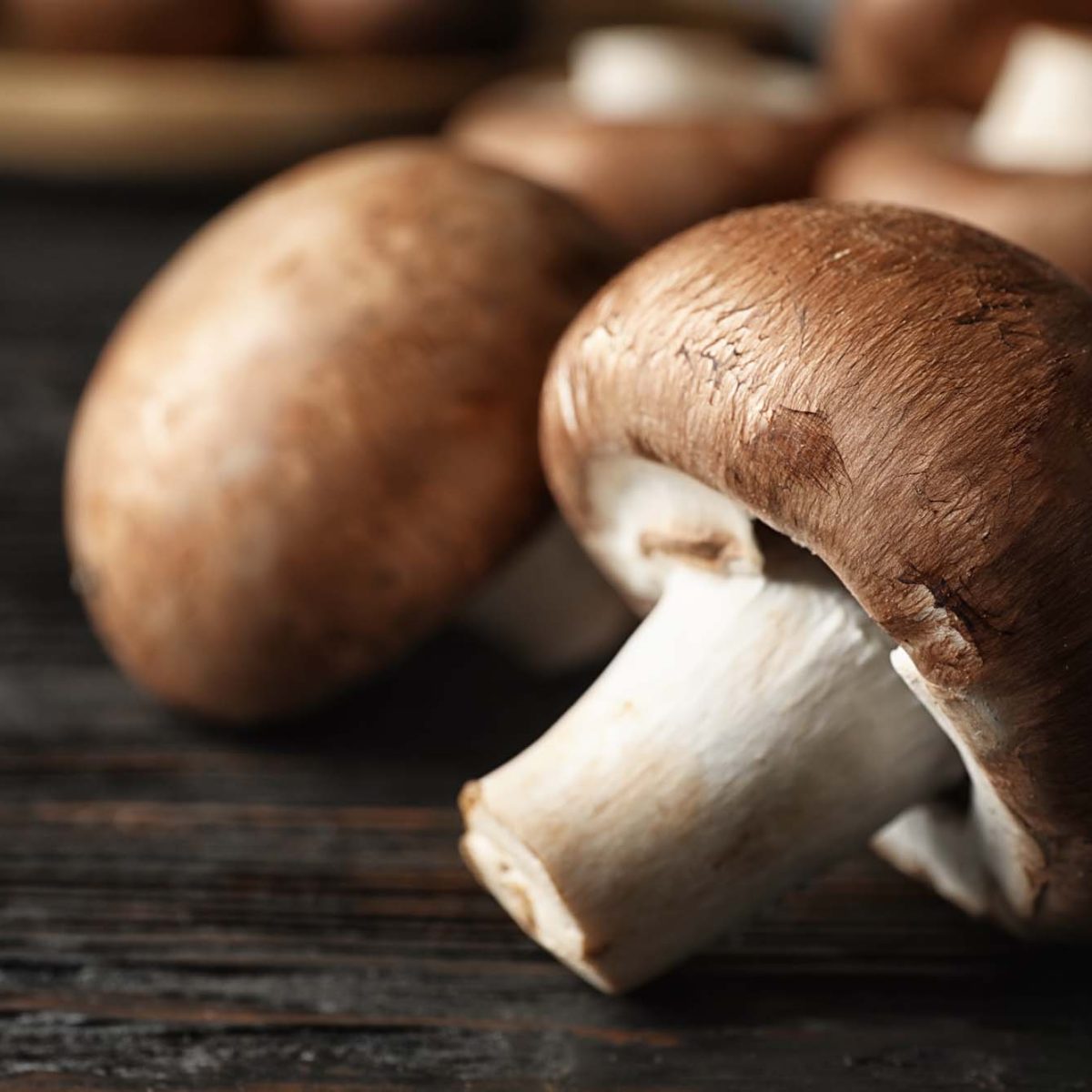 White Button Mushrooms | Mushroom Varieties 101