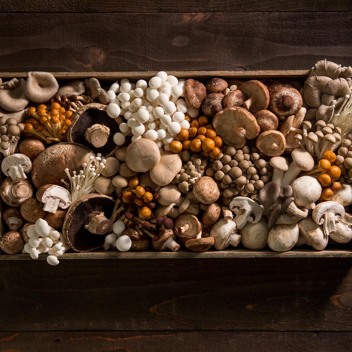 The Mushroom Council | Explore Mushrooms