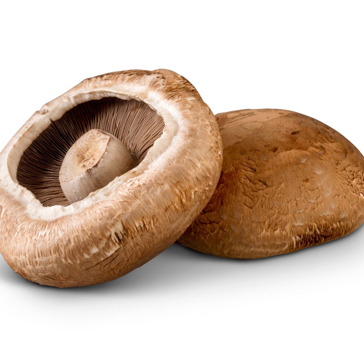 Balsamic Grilled Portabella Mushrooms | Mushroom Recipes