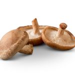 Shiitake Mushrooms | Mushroom Varieties 101