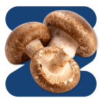 Stir-Fried Noodles with Shiitakes and Veggies | Mushroom Recipes