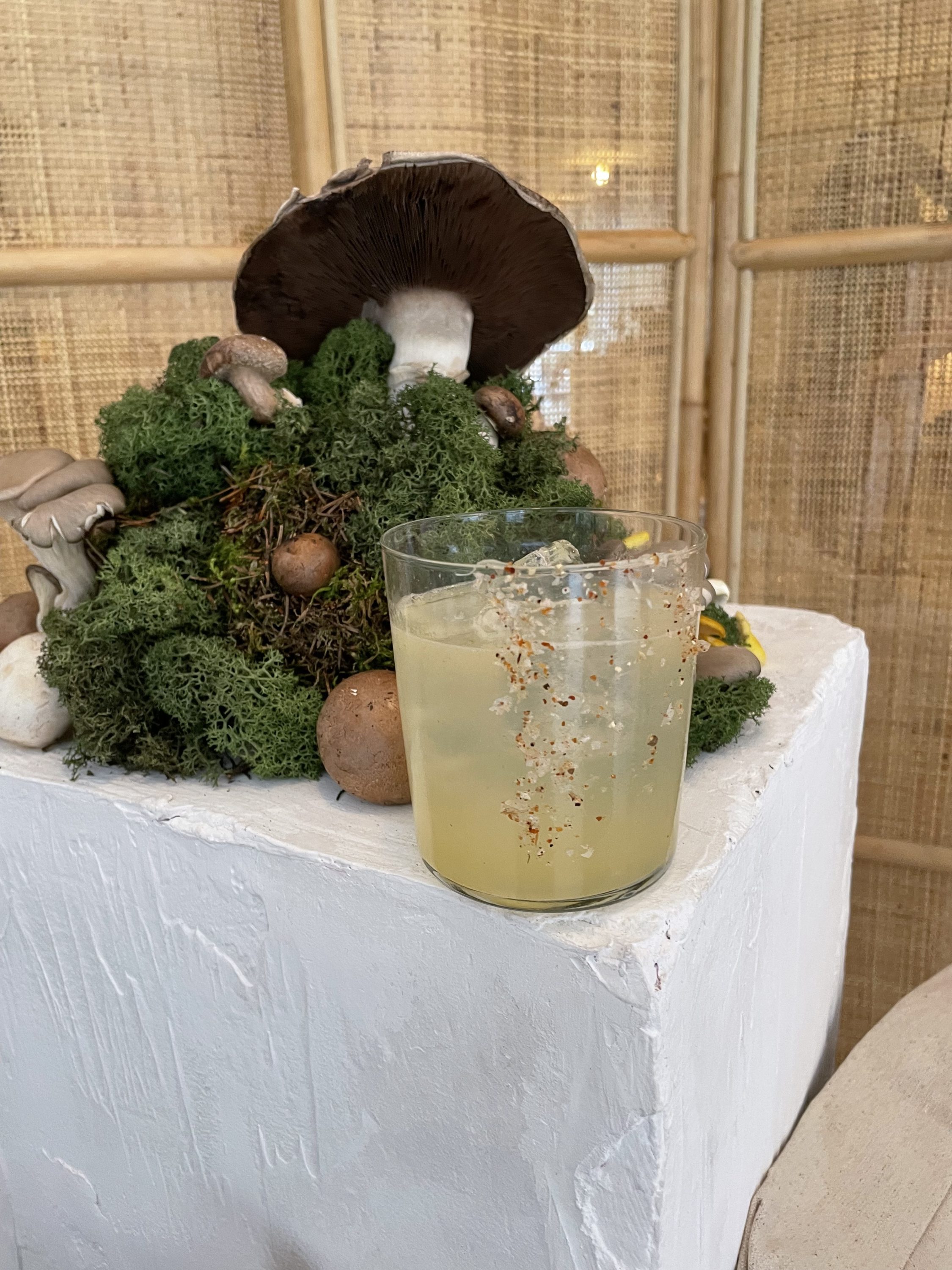 "Beechfront View" Cocktail | Mushroom Recipes