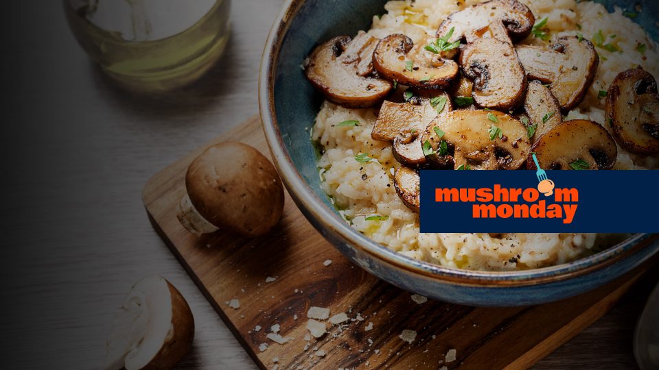 The Mushroom Council | Explore Mushrooms