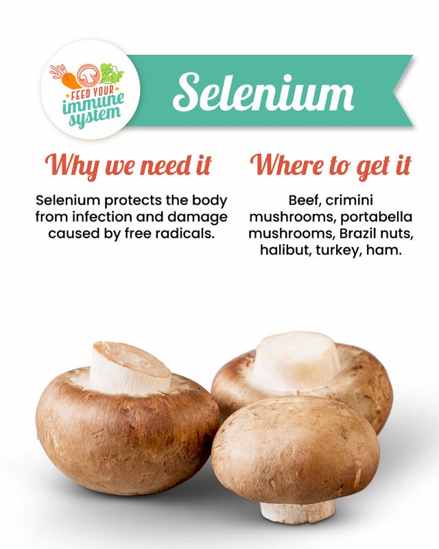 Sign Up for the Mushroom Council Enewsletter